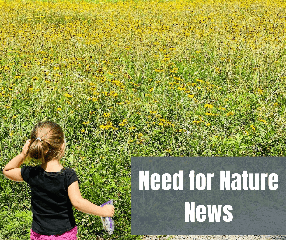 September News Letter | Bubolz Nature Preserve